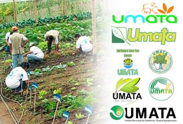 Contrario a lo anunciado por Iragorri, Umatas no han sido fortalecidas ...