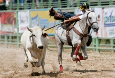 Coleo, un deporte que sigue vigente en la Orinoquía | CONtexto ganadero