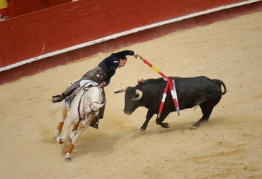 Toros de lidia, un animal de cuidado y respeto | CONtexto ganadero