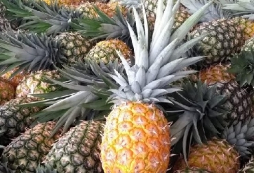 Llegó a Argentina primer embarque de piña colombiana | CONtexto ...
