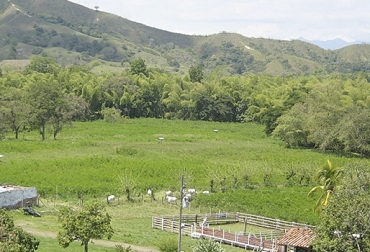 ¿Por qué es ideal tener potreros cerca de la casa de la finca ...