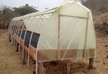 Secadores solares, una alternativa para la suplementación ganadera ...